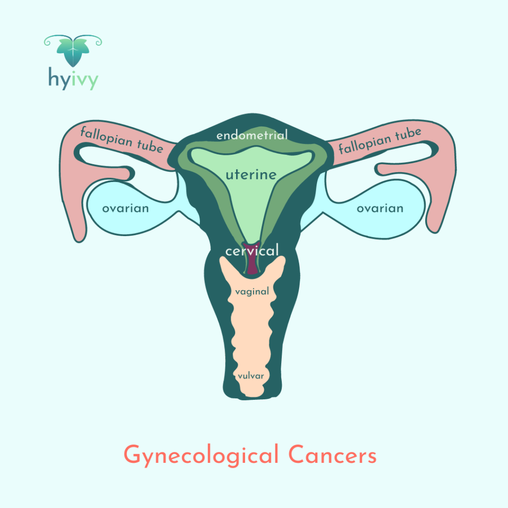 Your Trusted Resource for Common Pelvic Health Terms | Hyivy